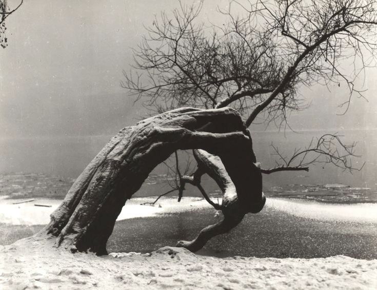 FUMBLE - Thomas Duret – My Store